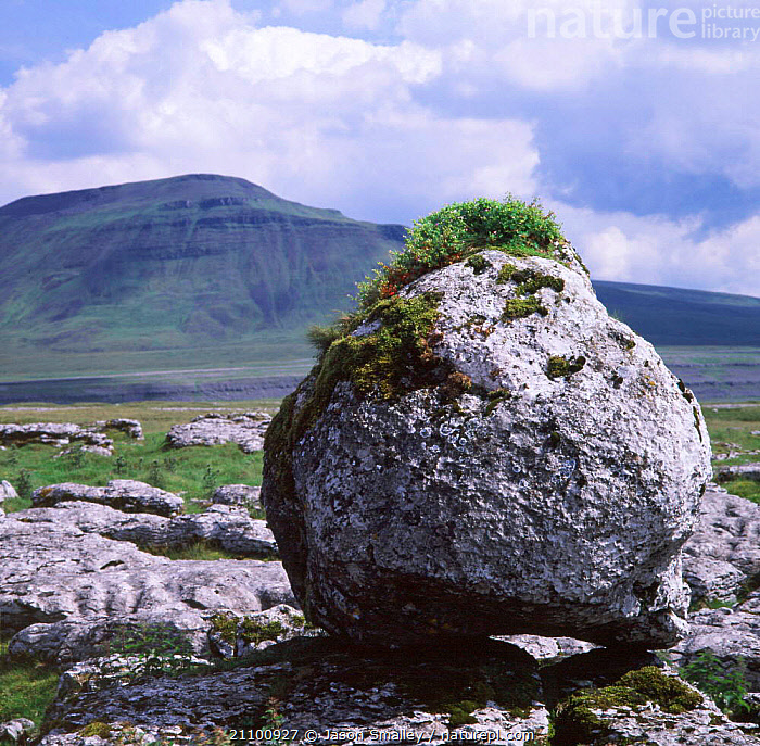 Stock photo of Eratic boulders on limestone pavement Yorkshire Dales ...