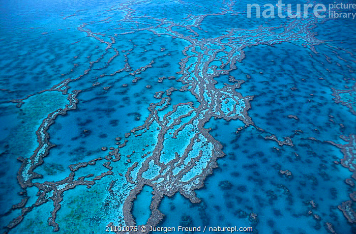 Stock photo of Aerial view of Hardy reef Great barrier reef Queensland ...