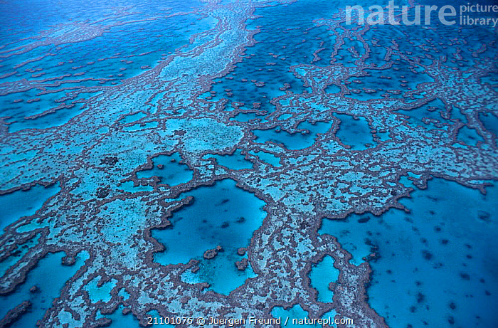Stock photo of Aerial view of Hardy reef Great barrier reef Queensland ...