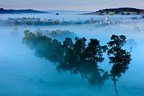 Nature Picture Library NOTON David