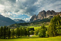 Nature Picture Library NOTON David